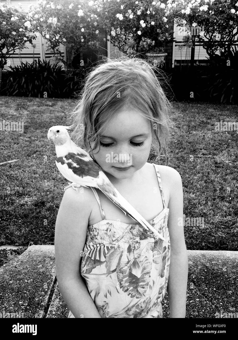 Girl bird hi-res stock photography and images - Alamy