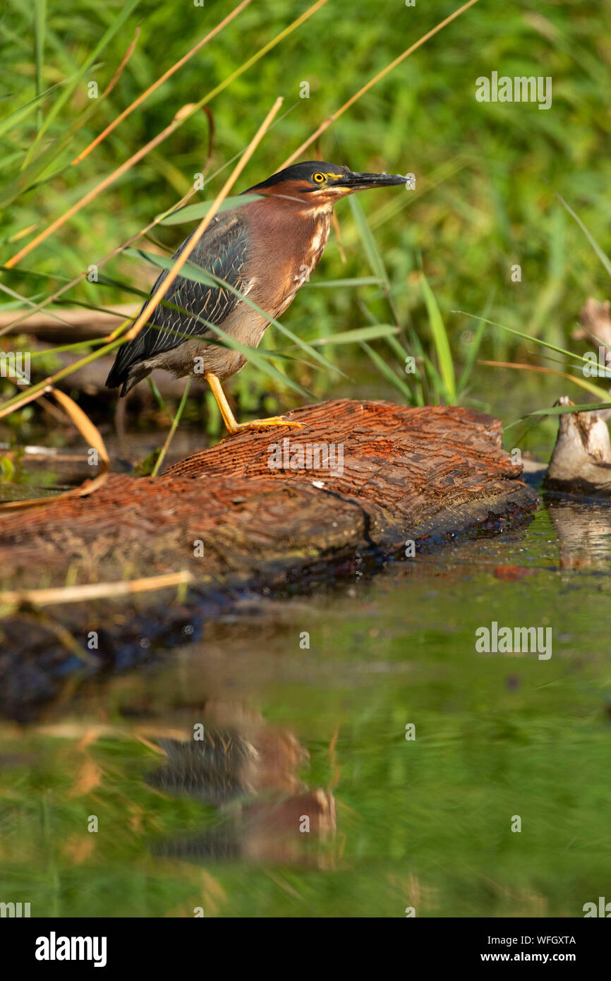 Silverton reservoir hi-res stock photography and images - Alamy