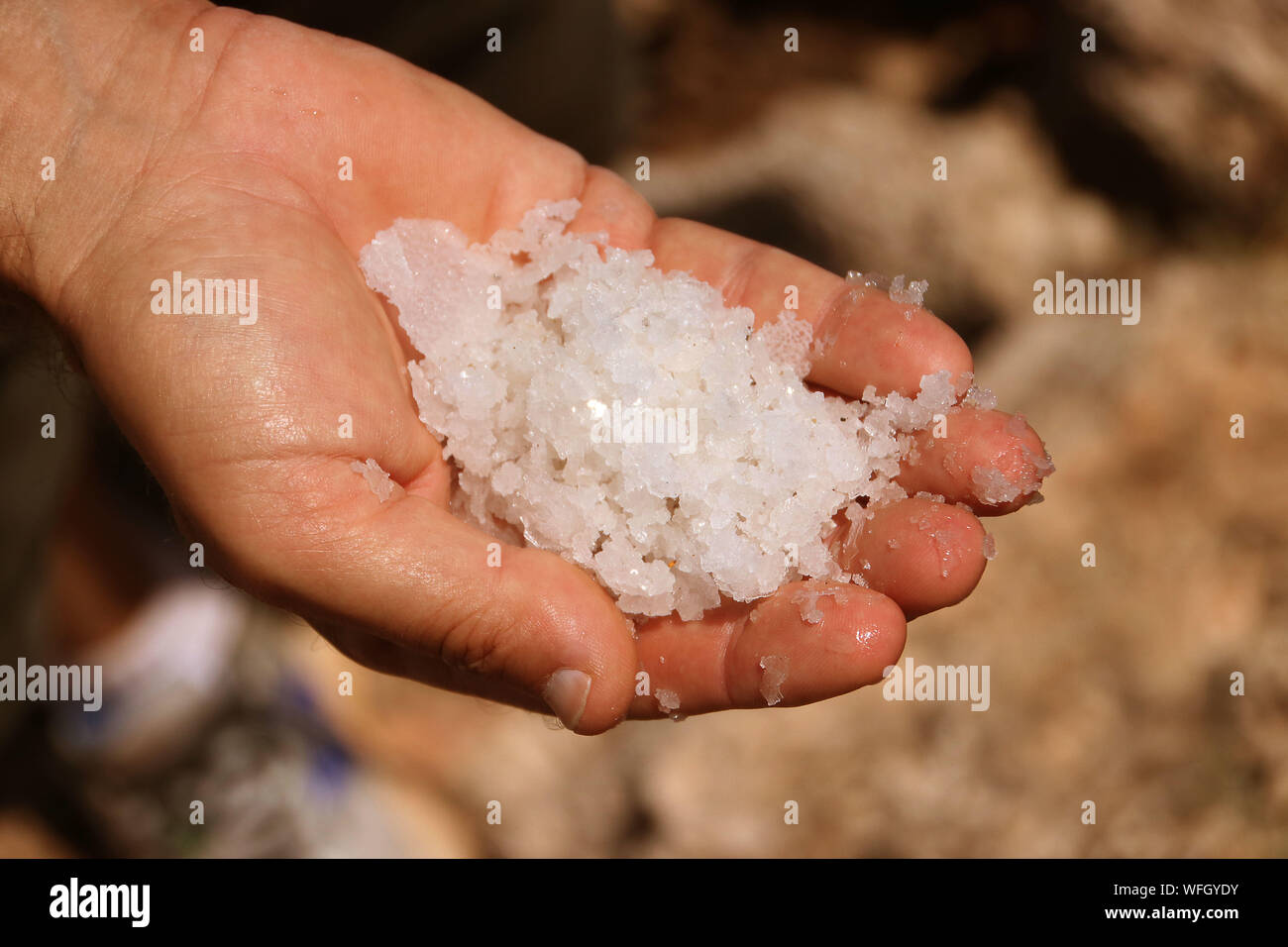 Hand holding salt hi-res stock photography and images - Alamy