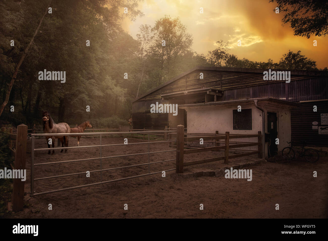 Boundary ranch hi-res stock photography and images - Alamy