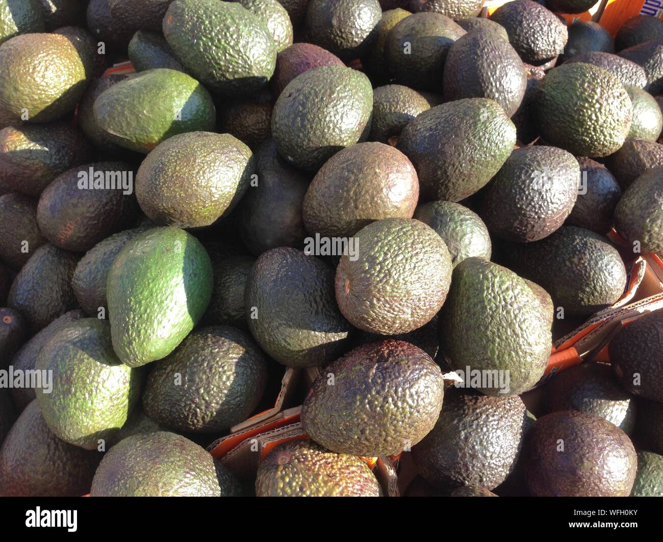 Fresh avocados hi-res stock photography and images - Alamy