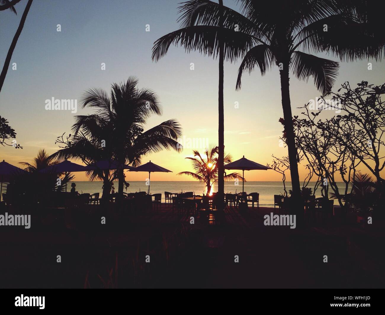 Cafe and palm trees hi-res stock photography and images - Alamy