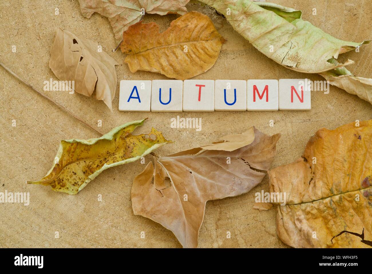 The word AUTUMN in letters, leaves around on a wooden background Stock ...