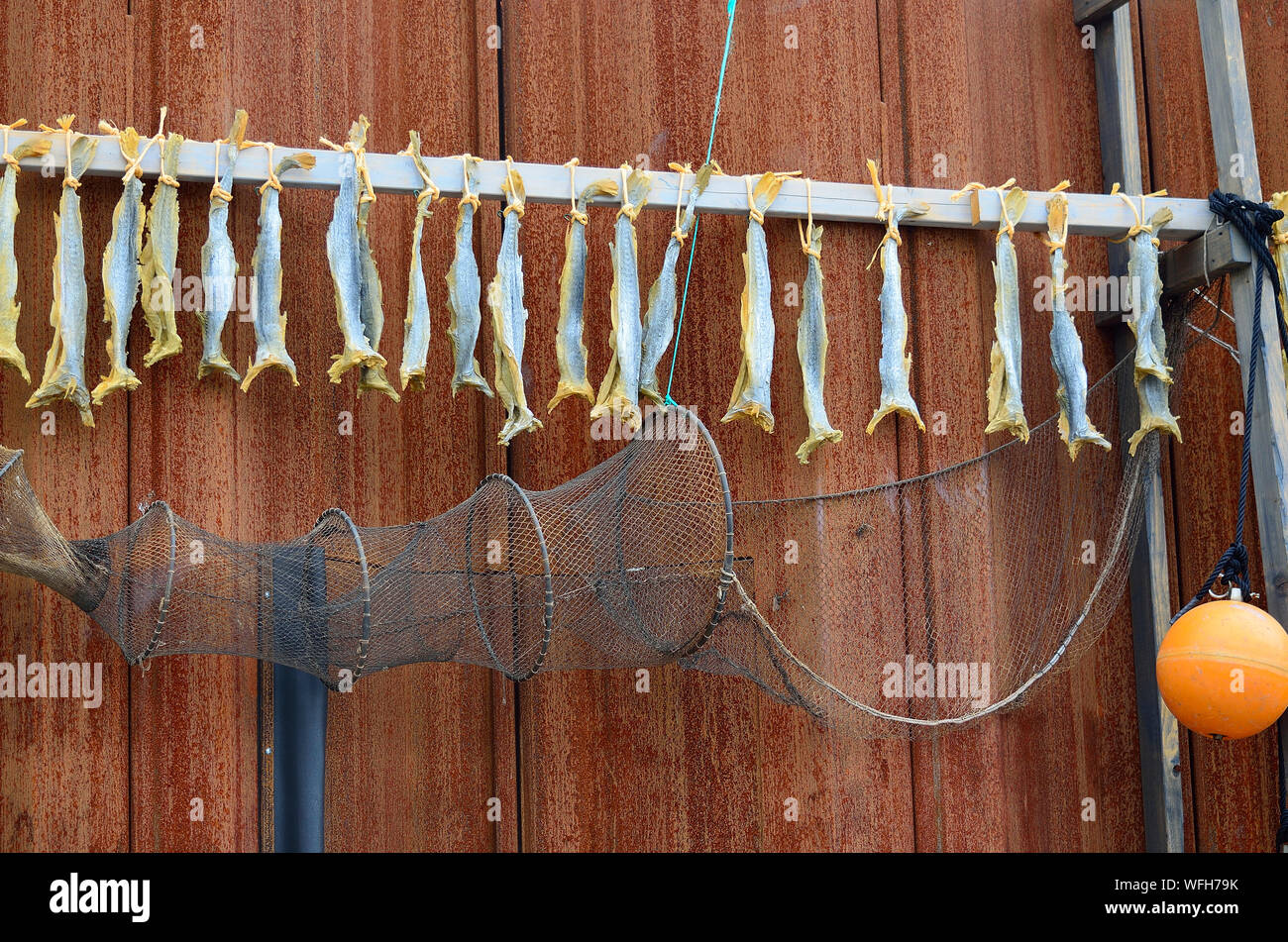 Hanging fish net hi-res stock photography and images - Alamy