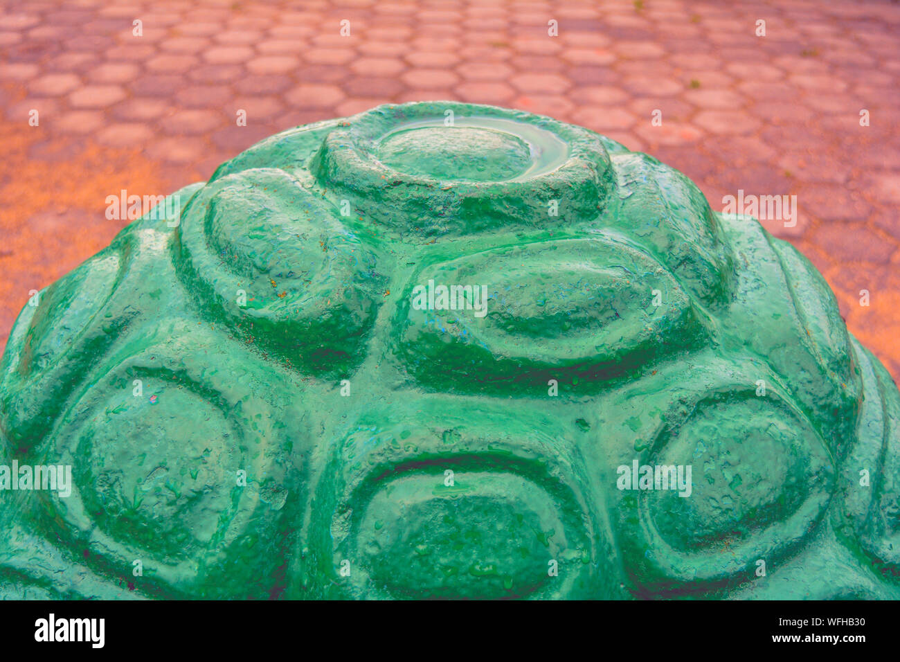 A fragment of wet imitation of concrete shell of turtle with green ...