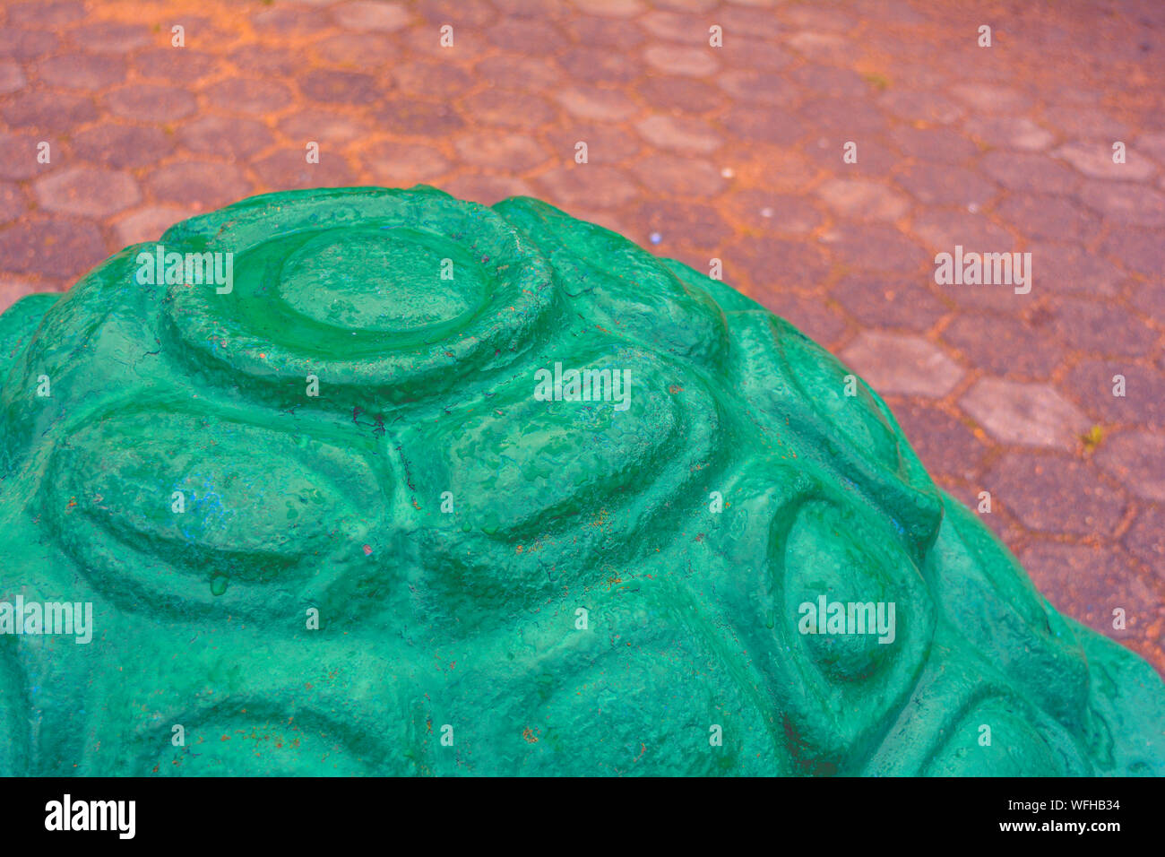 Empty Turtle Shell Clay