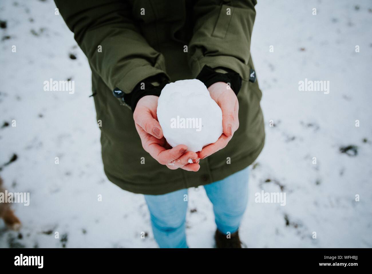 Hand holding snowball hi-res stock photography and images - Alamy