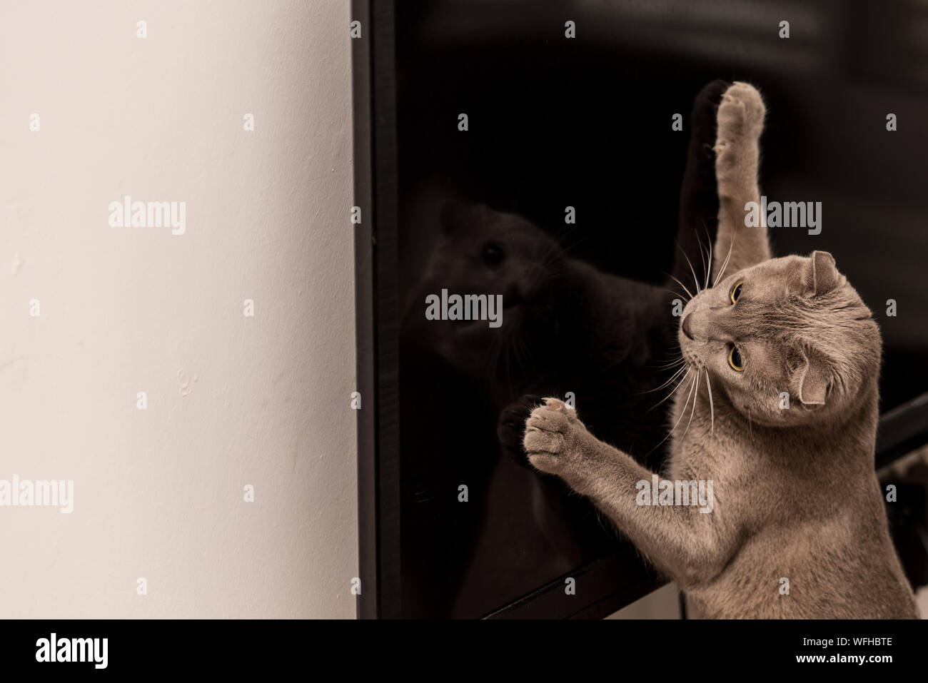 Set up home hi-res stock photography and images - Alamy