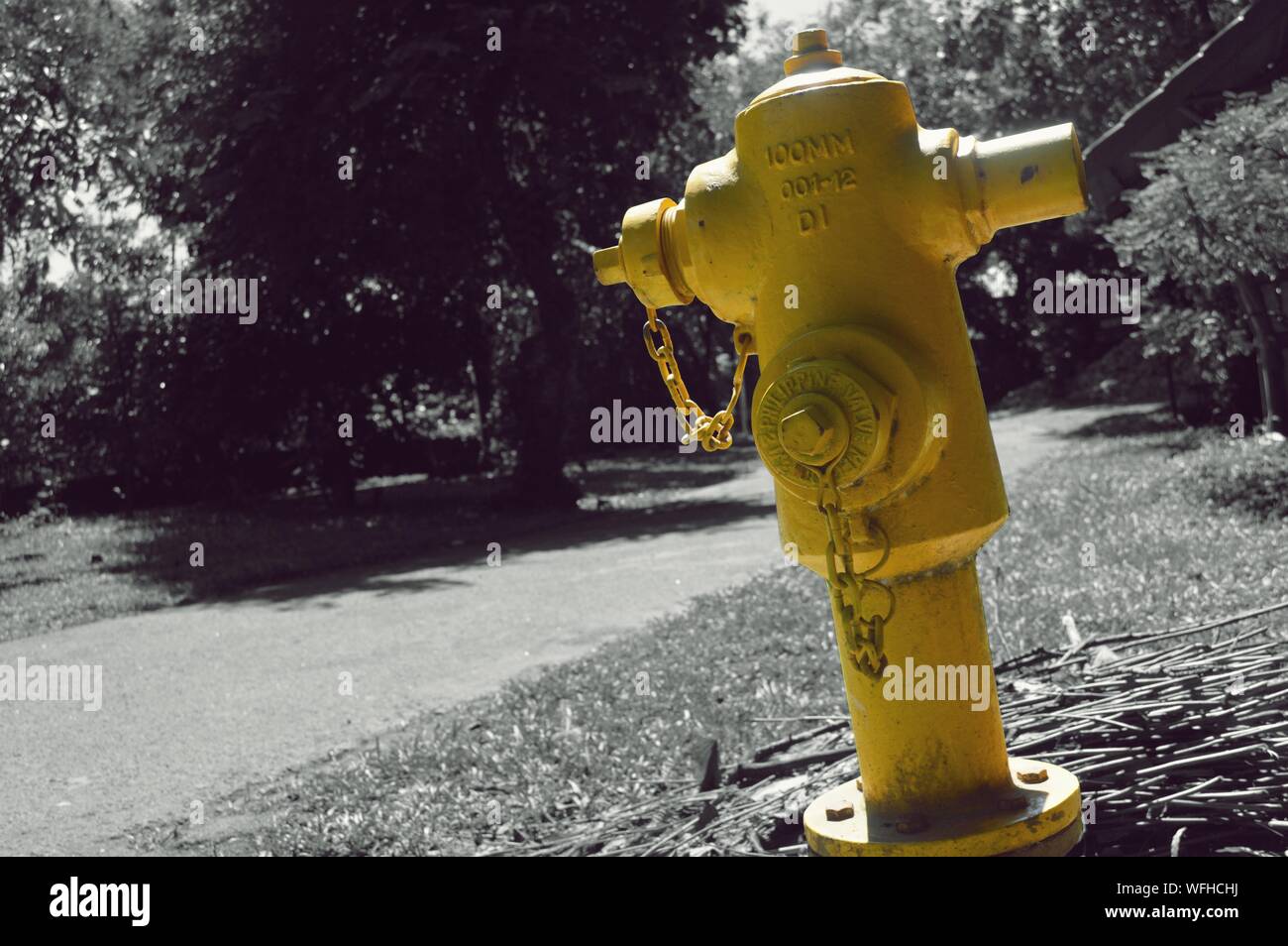 Fire hydrant with tree hi-res stock photography and images - Alamy