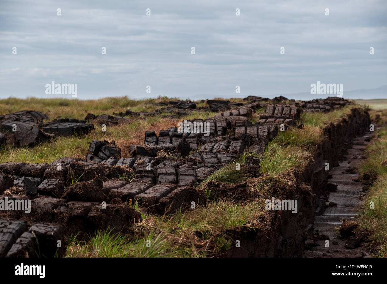 Peat Cuttings on Islay, Scotland Stock Photo - Alamy