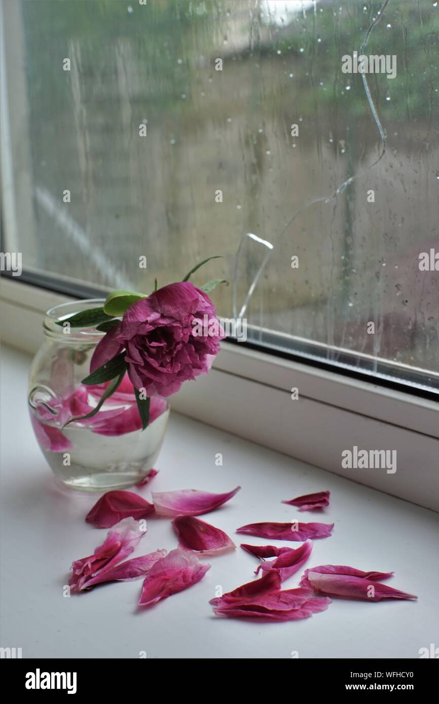 Chipped window hi-res stock photography and images - Alamy