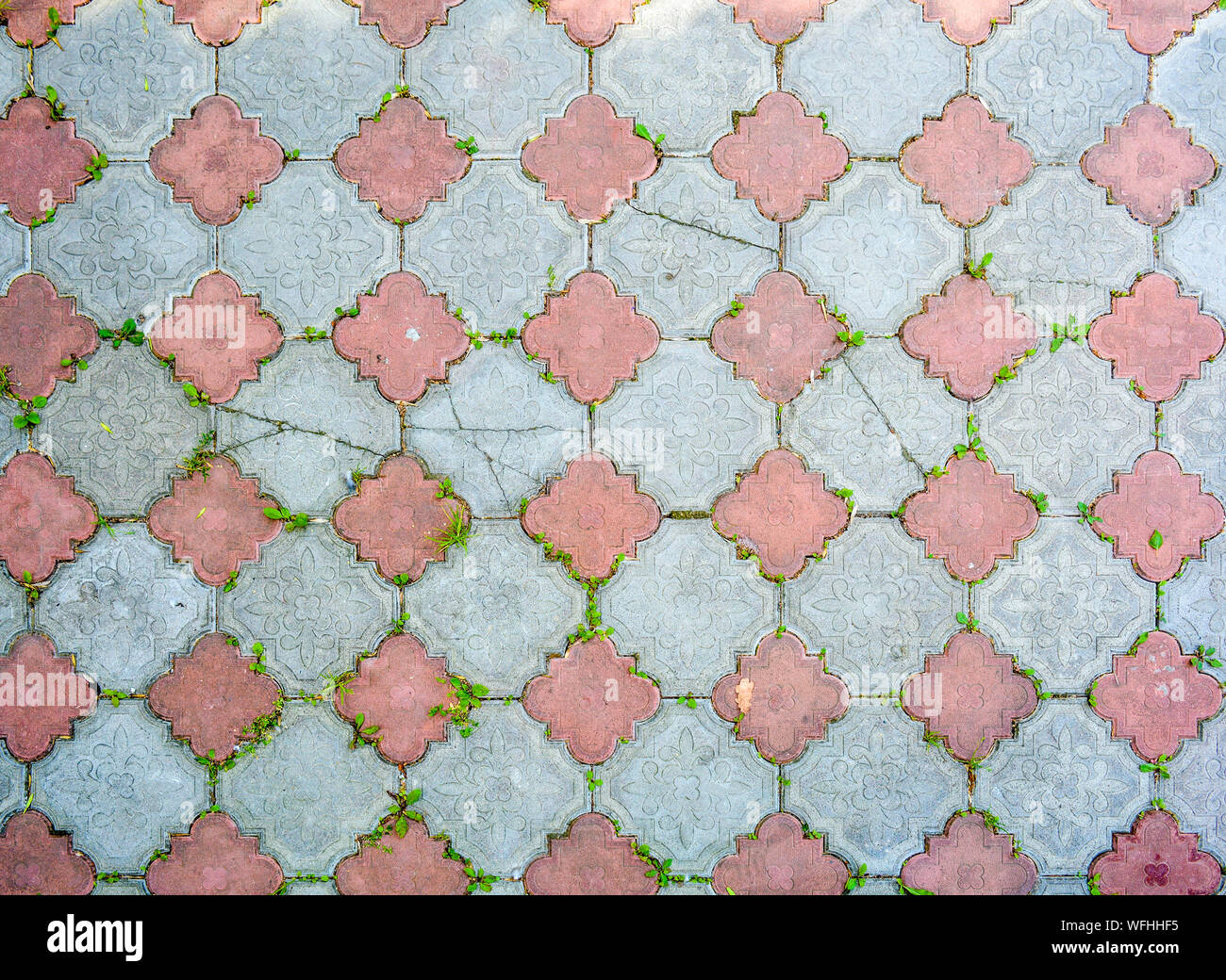 Red and gray road tiles on city street pavement with growing grass in ...