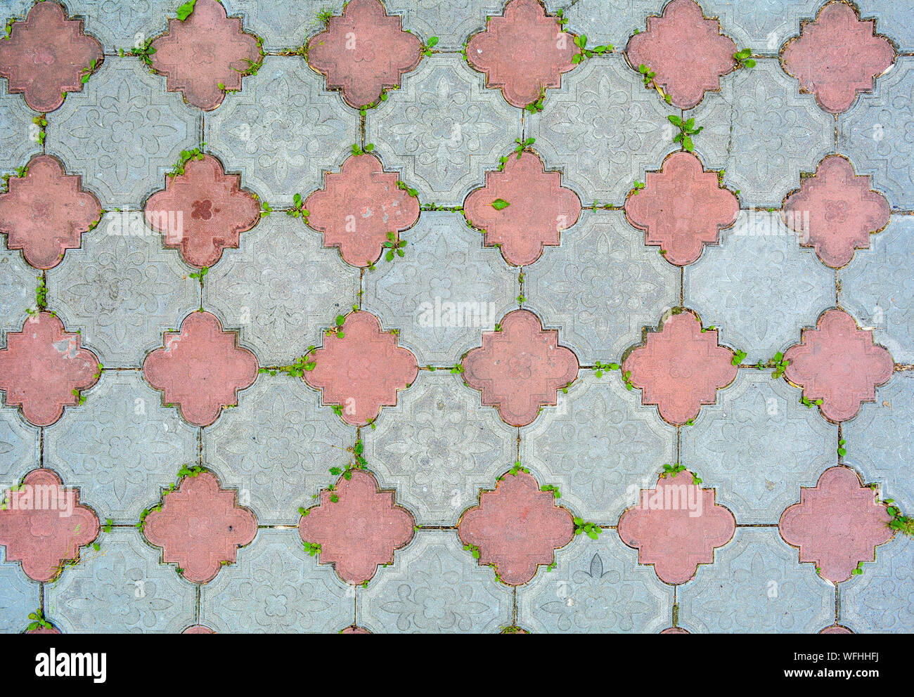 Red and gray road tiles on city street pavement with growing grass in ...