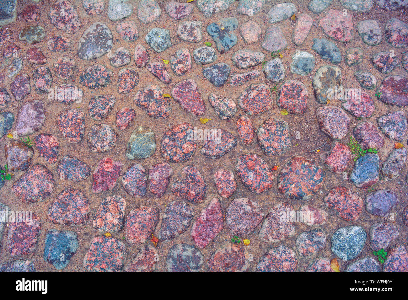 Stone background of pavement with rough wet granite boulders. Texture ...