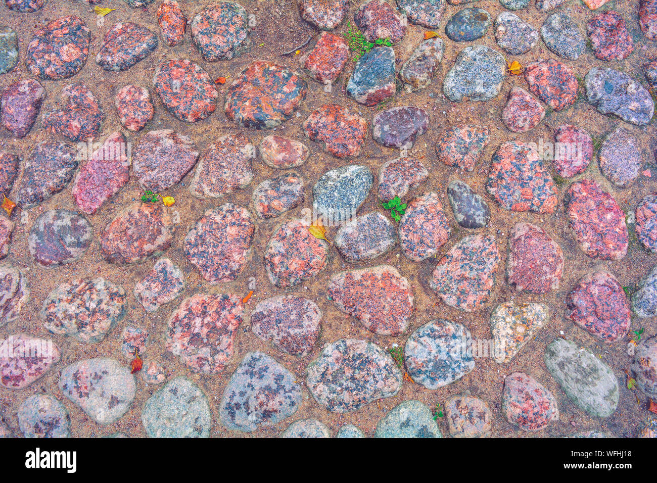 Stone background of pavement with rough wet granite boulders. Texture ...