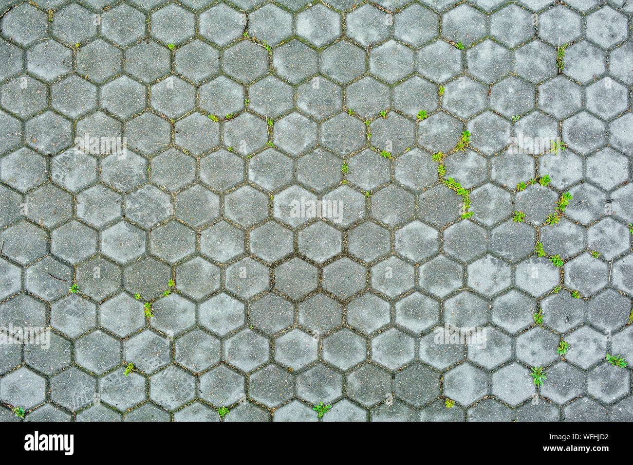 Grass Pavement Texture 999+ Pavement Texture Pictures | Download Free