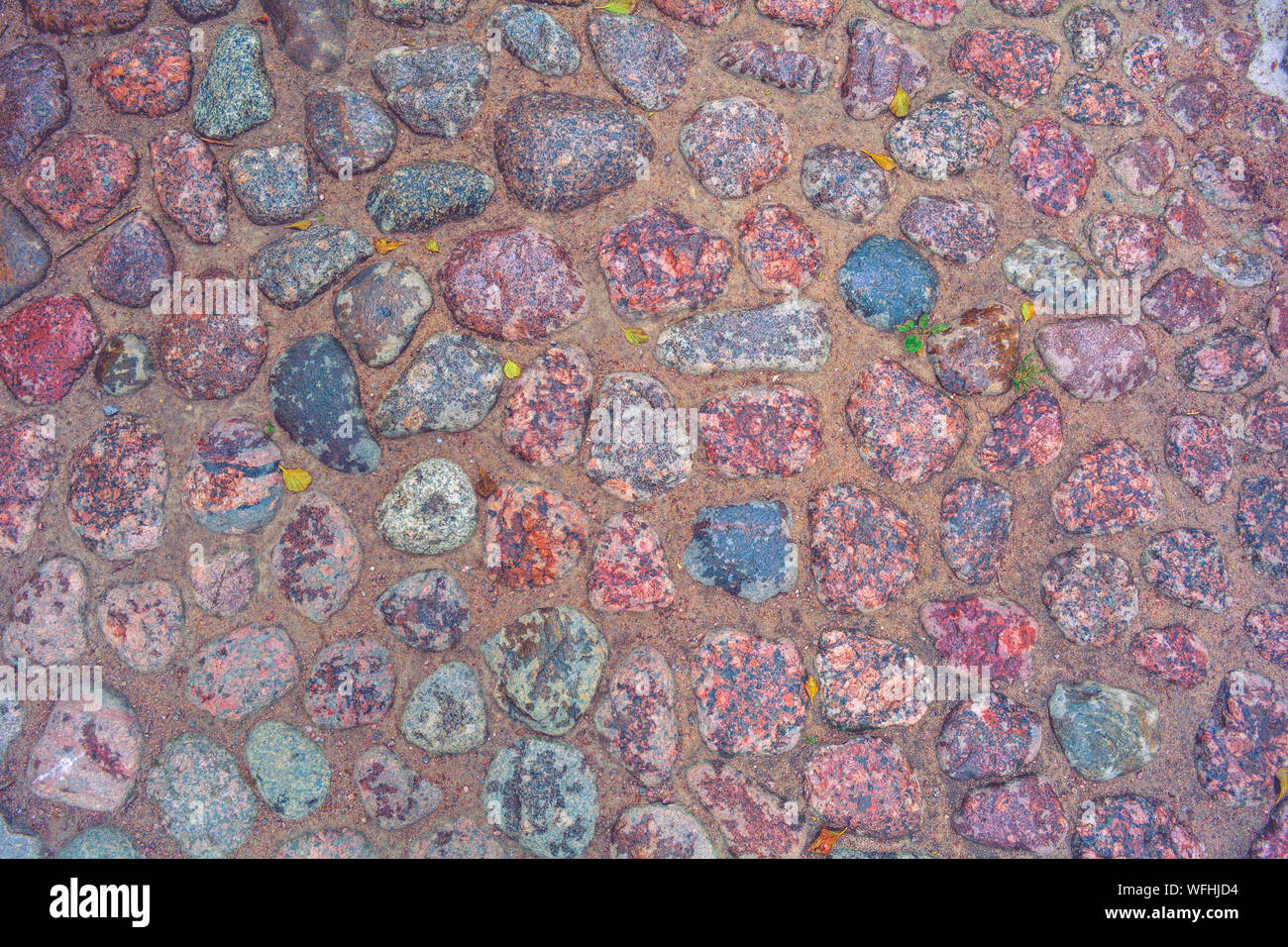 Stone background of pavement with rough wet granite boulders. Texture ...