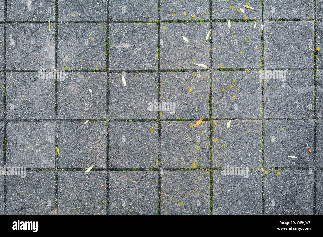 Concrete pavement background on the public pave way. Big square tiles ...