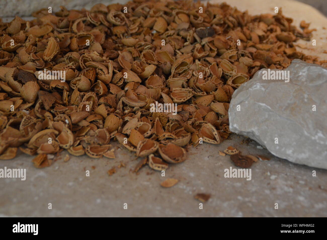 Almond Shells High Resolution Stock Photography and Images - Alamy