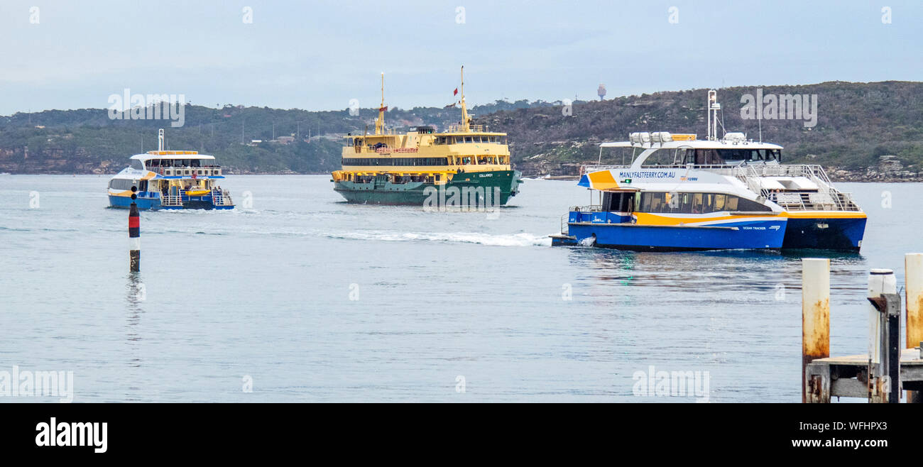 Sydney Harbour ferries providing public transport to and fro from ...