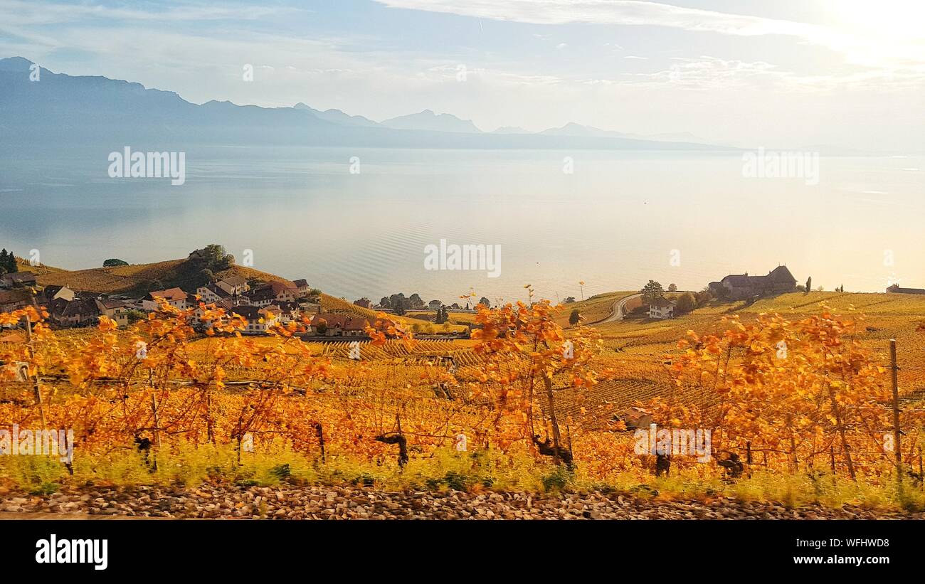 Lakeview Landscape High Resolution Stock Photography and Images - Alamy