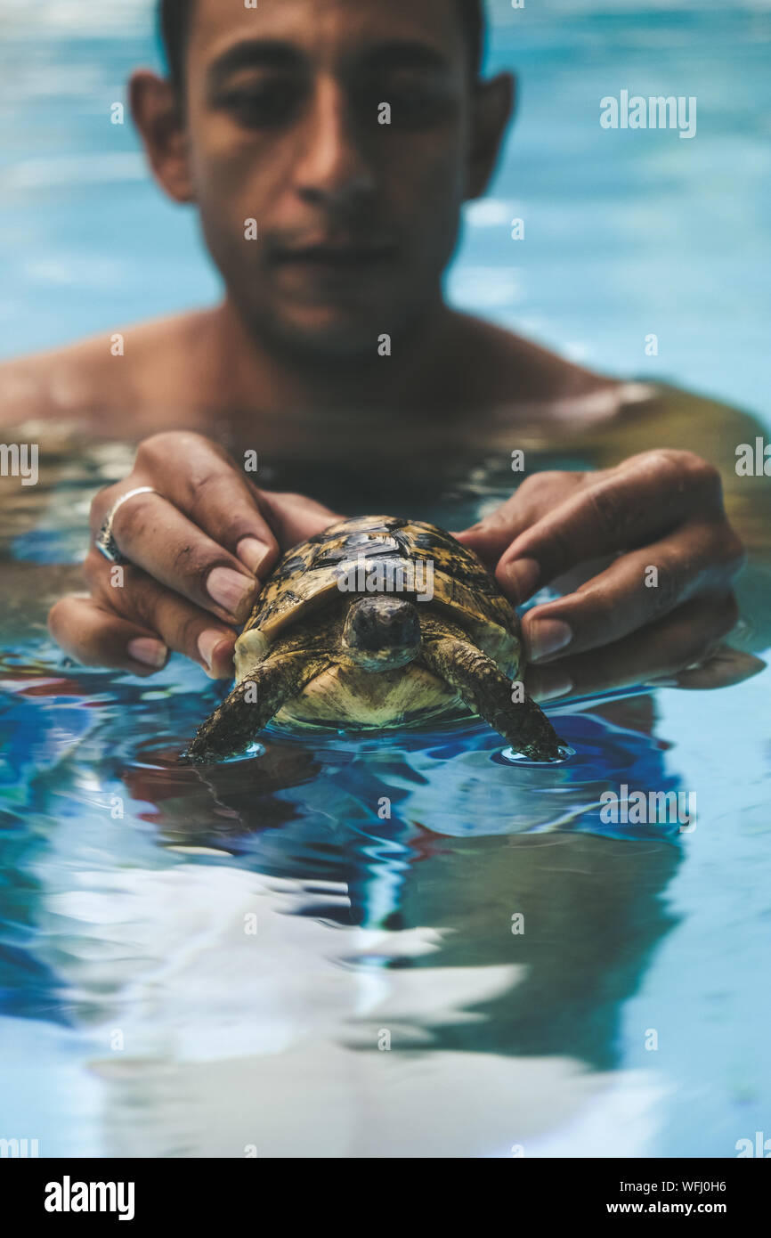 Man holding turtle hi-res stock photography and images - Alamy