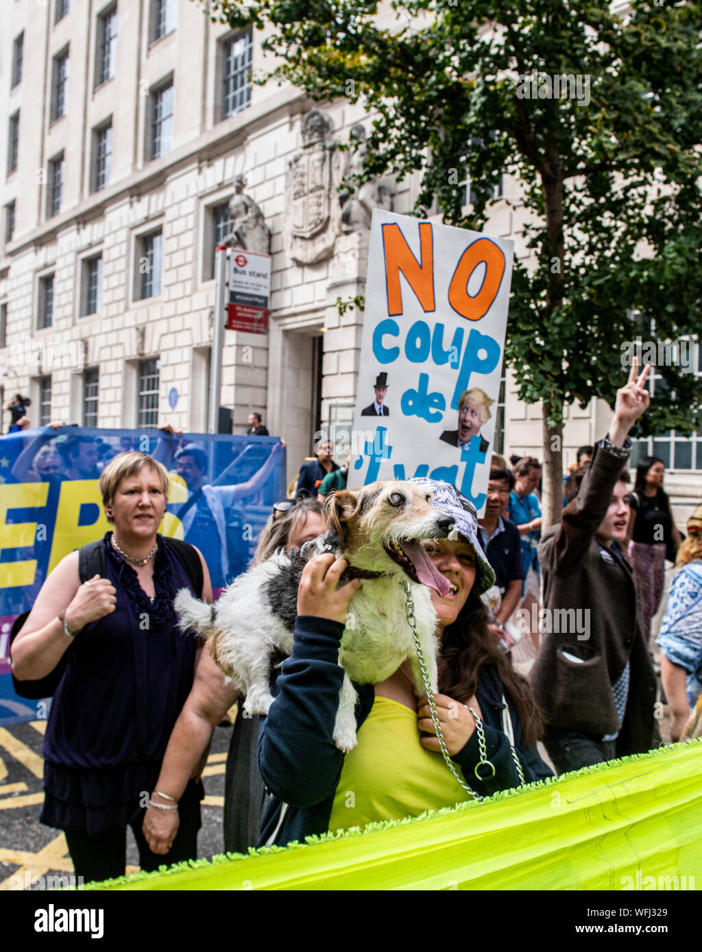 Thousands of protesters at ‘Stop the Coup, Defend Democracy’ protest ...