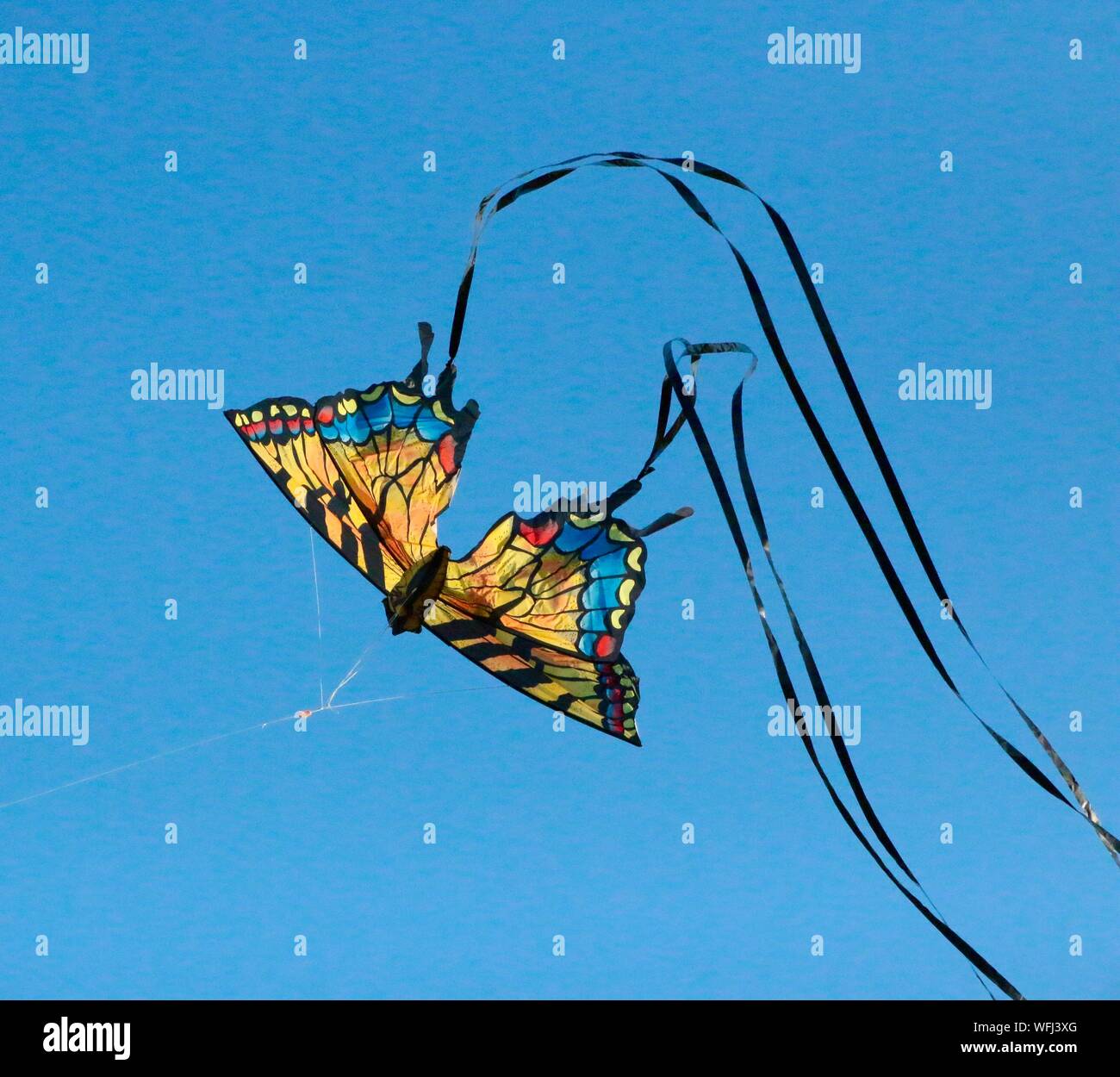 Butterfly Kite High Resolution Stock Photography and Images - Alamy