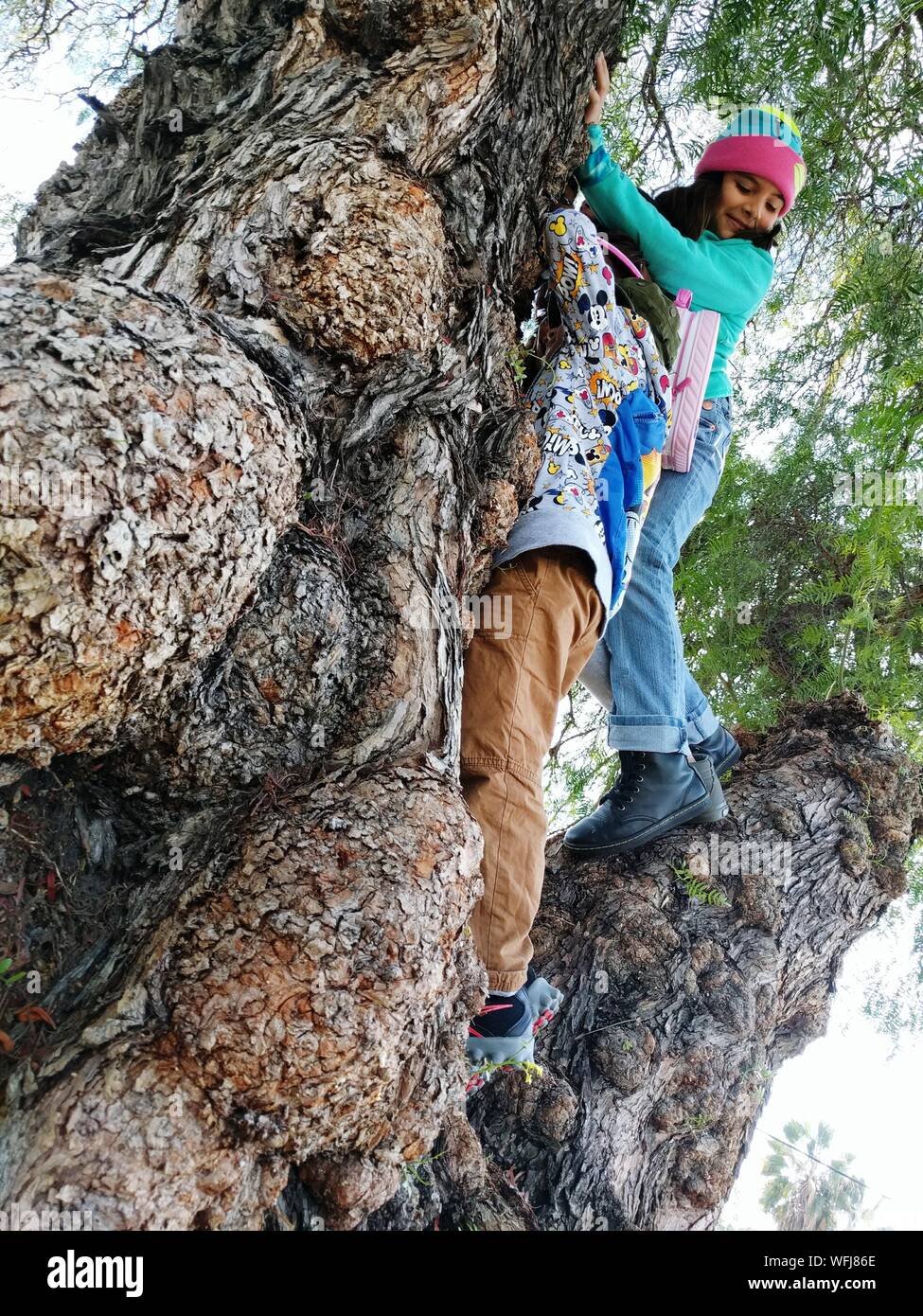 Children tree climbing hi-res stock photography and images - Alamy