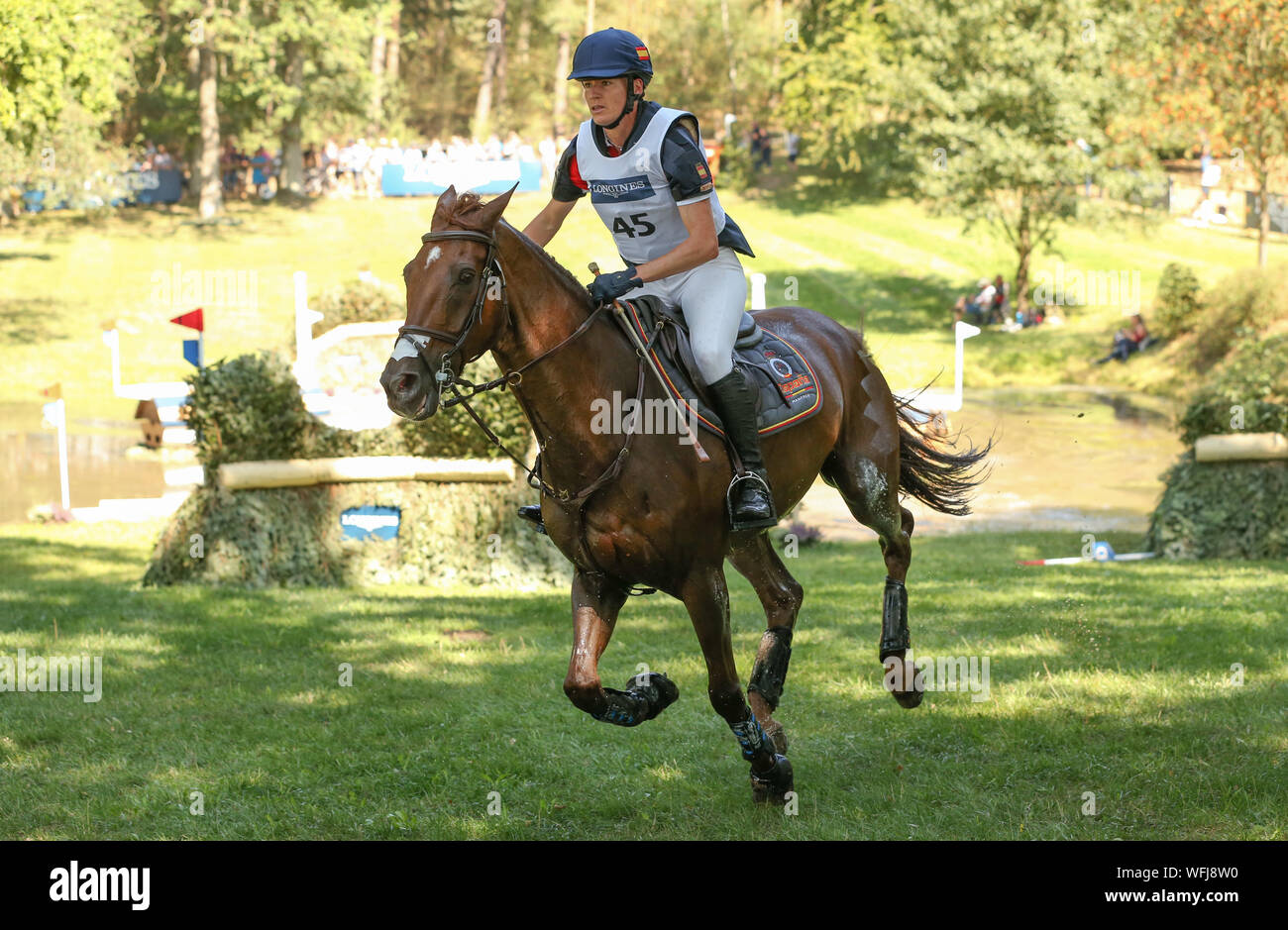 Luhmuhlen, Germany. 31 August 2019, Lower Saxony, Luhmühlen: Equestrian ...