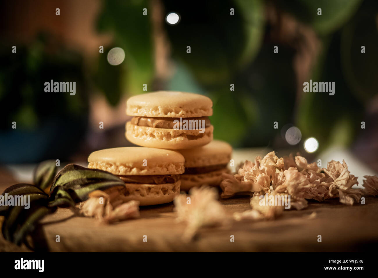 Holiday cookies on display hi-res stock photography and images - Alamy