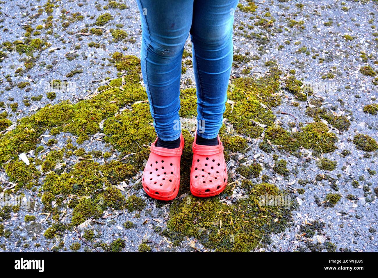 Woman wearing clogs hi-res stock photography and images - Alamy