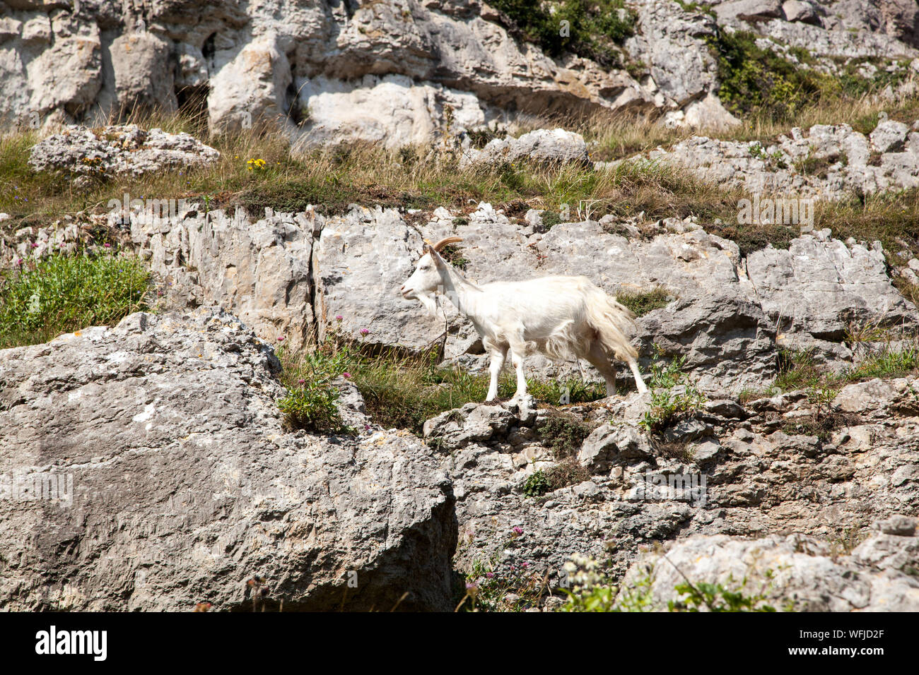 North wales mountain hi-res stock photography and images - Alamy
