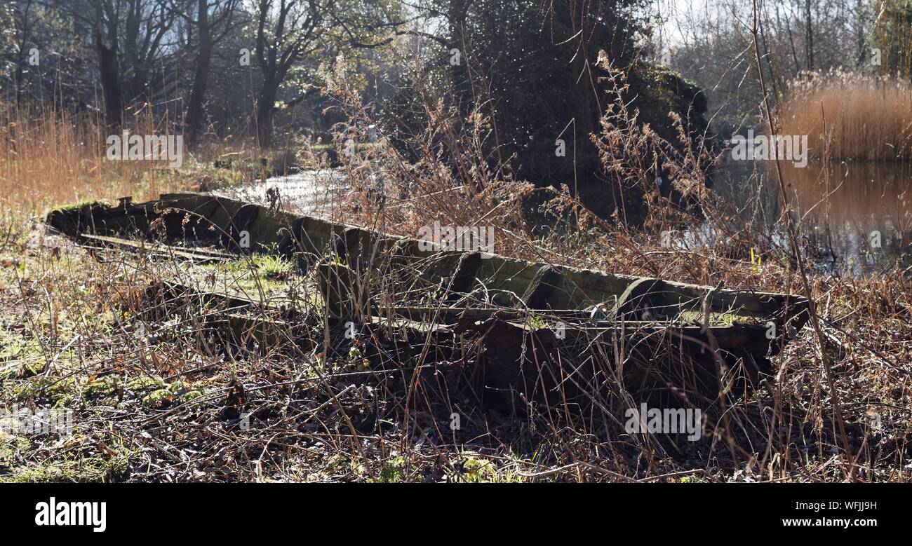 Lakeshore run down hi-res stock photography and images - Alamy