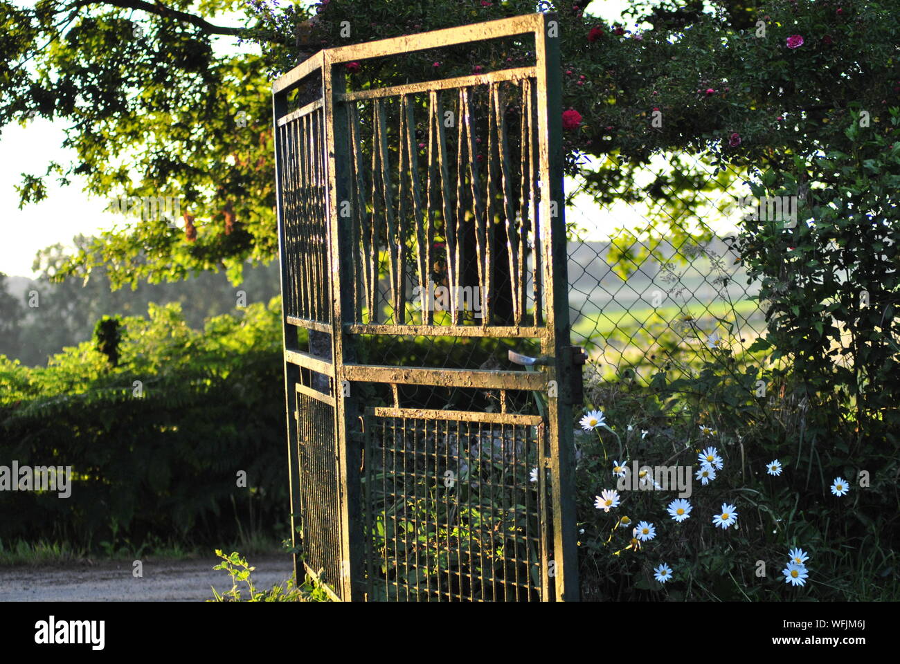 Open chainlink fence hi-res stock photography and images - Alamy