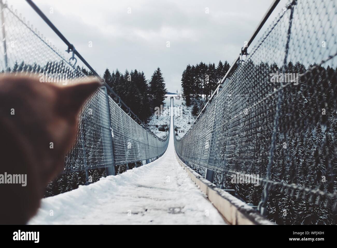 Animal bridge hi-res stock photography and images - Alamy