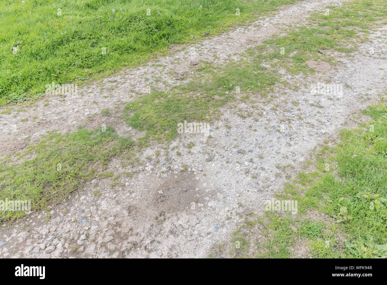 Long road ahead metaphor hi-res stock photography and images - Alamy