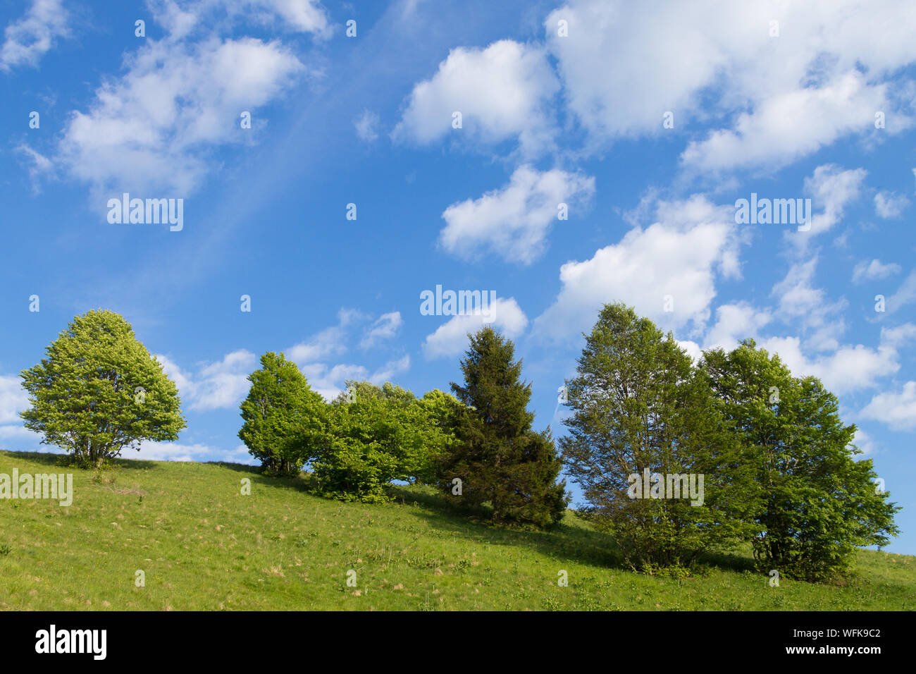 Spring mountain landscape, mount Grappa, Italy. Italian alps Stock ...