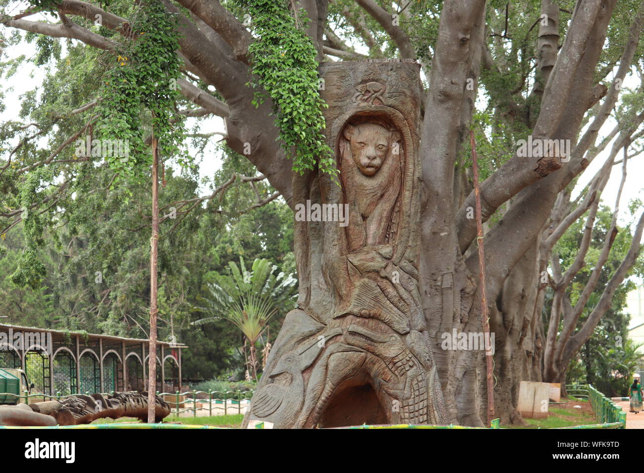 Sign of Simba Stock Photo - Alamy