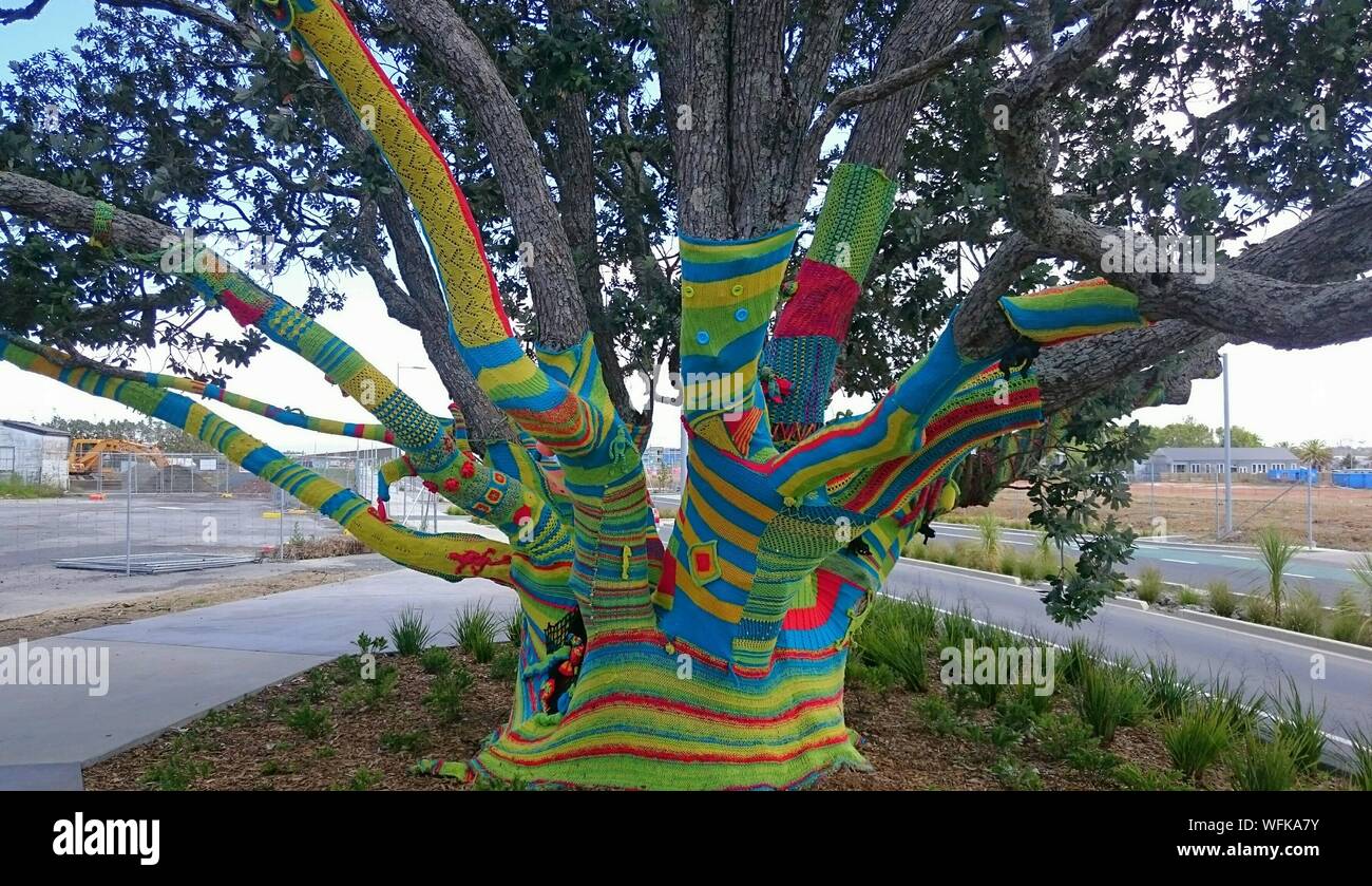 Wool tree hi-res stock photography and images - Alamy