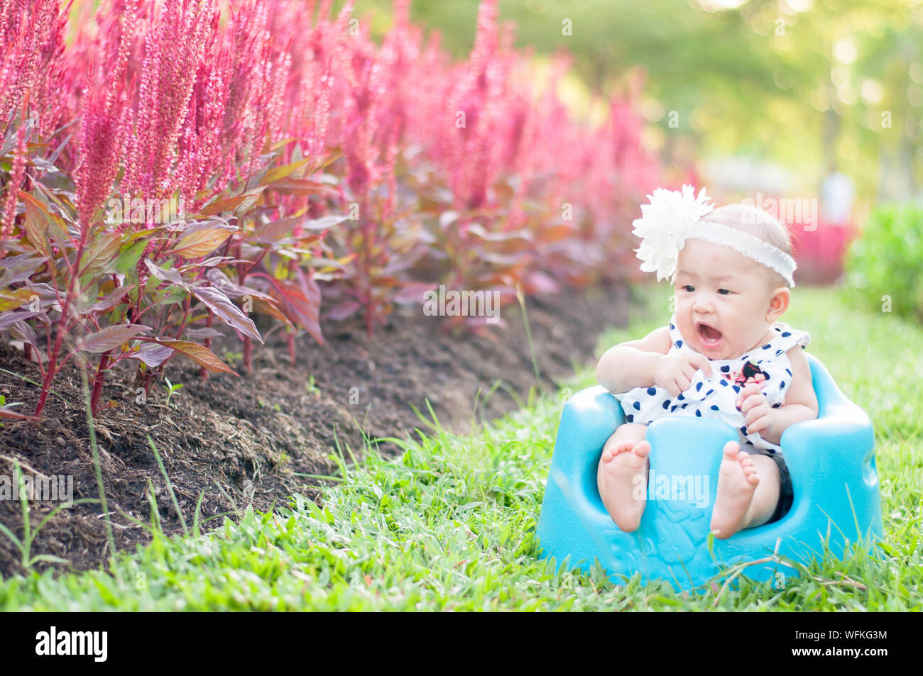 Sitting On Potty High Resolution Stock Photography and Images - Alamy