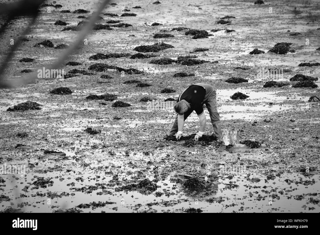 Working beach hi-res stock photography and images - Alamy