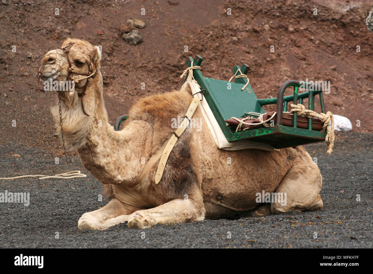 Relaxing landscape hi-res stock photography and images - Alamy