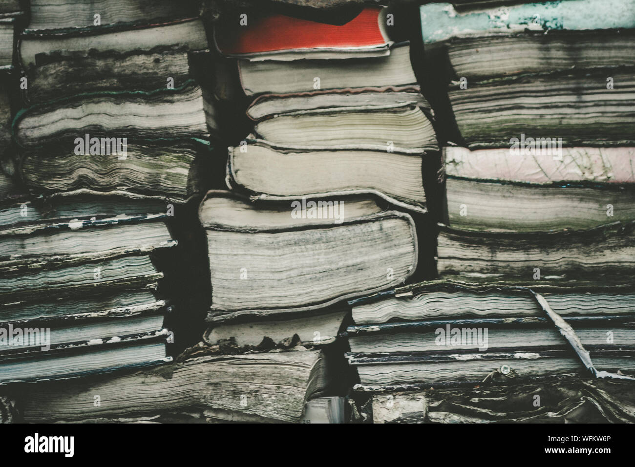 Abandoned books abandoned hi-res stock photography and images - Alamy