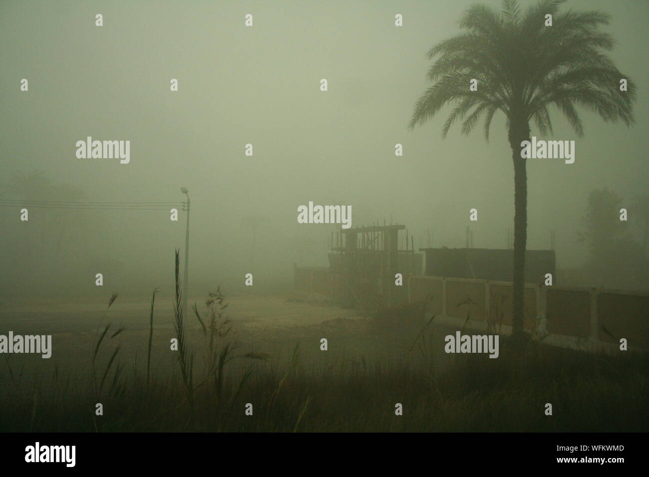 Palm tree construction hi-res stock photography and images - Alamy