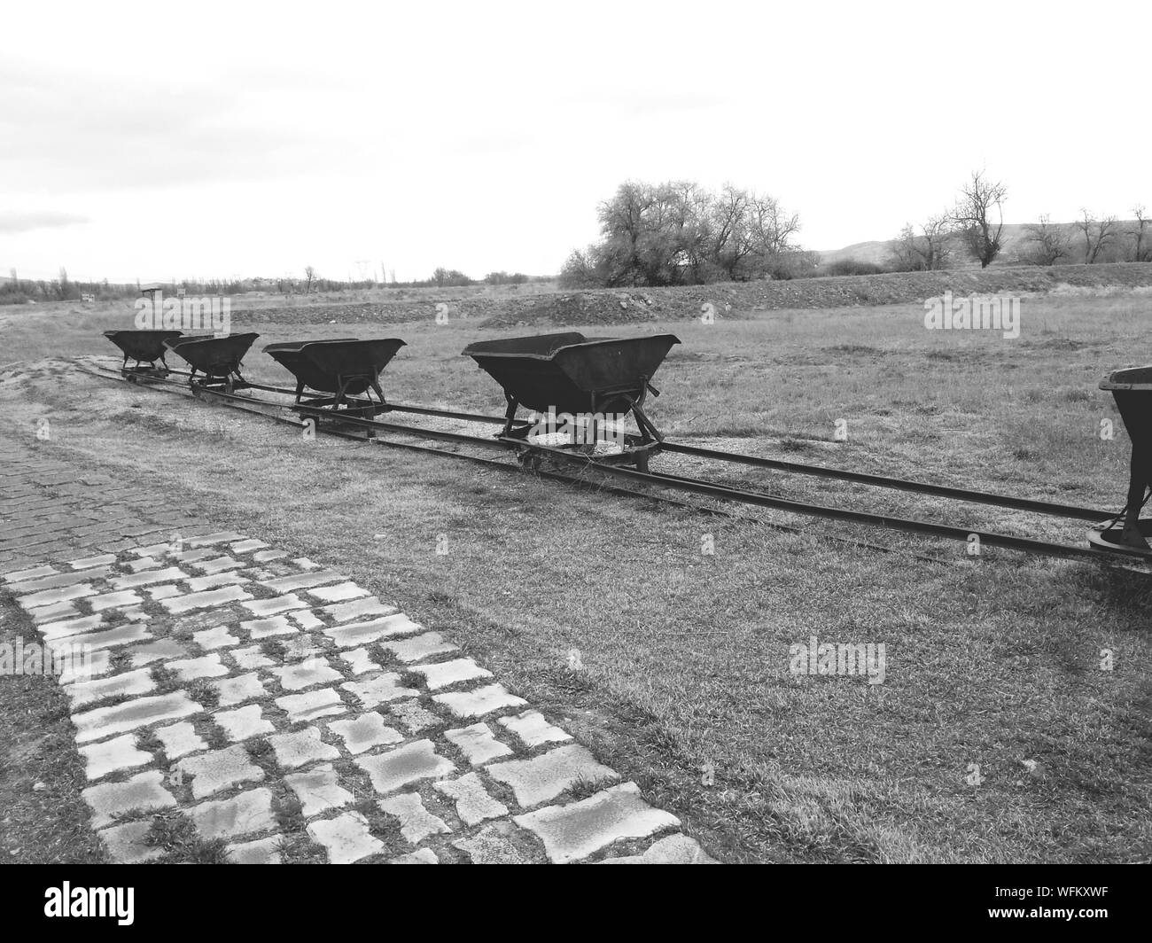Empty carts Black and White Stock Photos & Images - Alamy