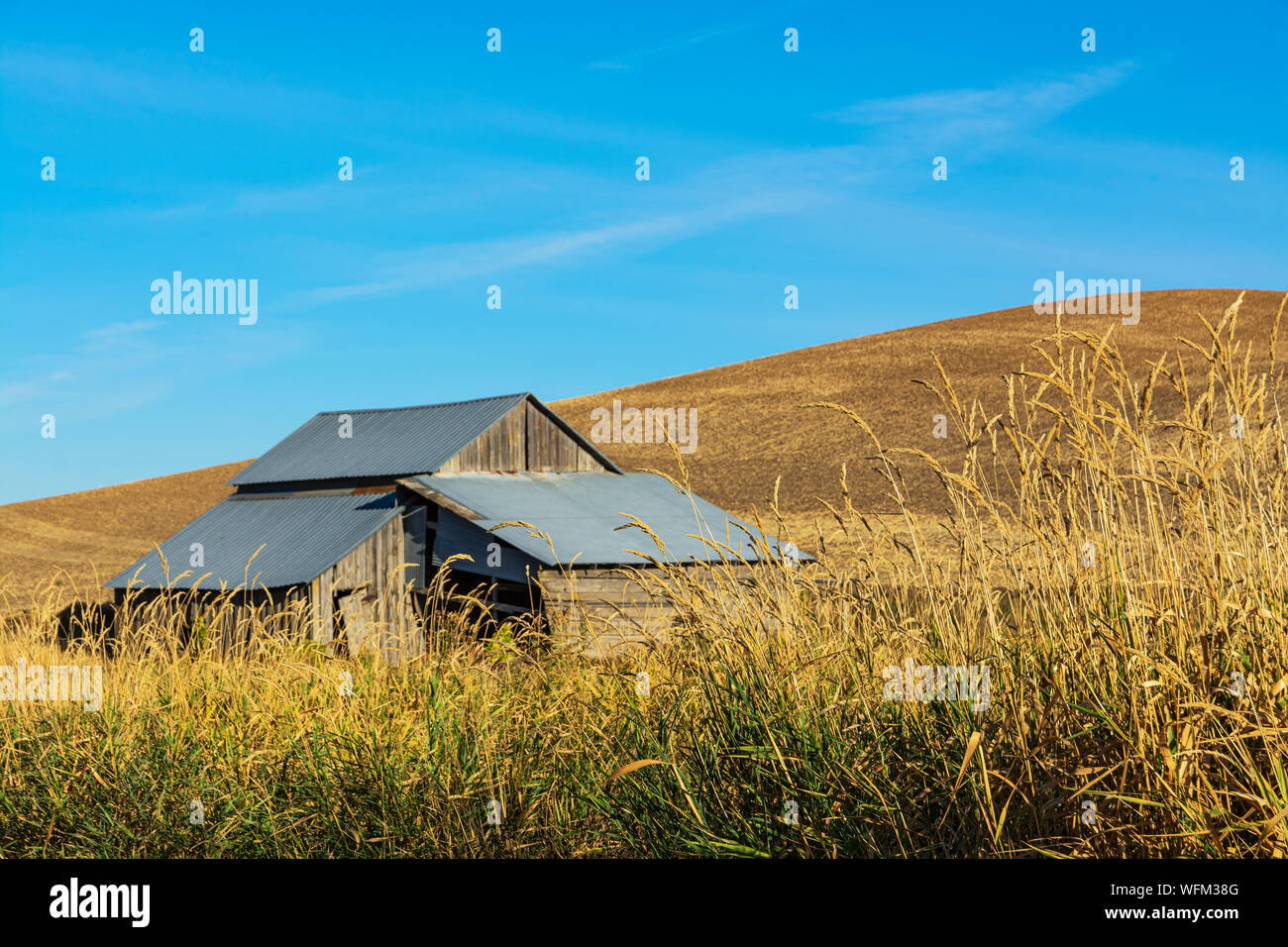 Washington, Palouse Region, wheat fields fall season after harvest, old ...
