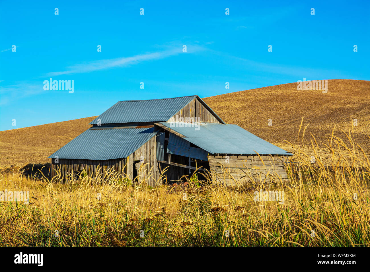 Washington, Palouse Region, wheat fields fall season after harvest, old ...