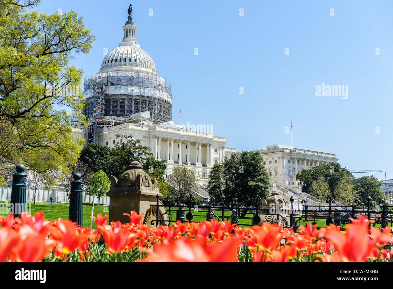 Capitol Flowers High Resolution Stock Photography and Images - Alamy