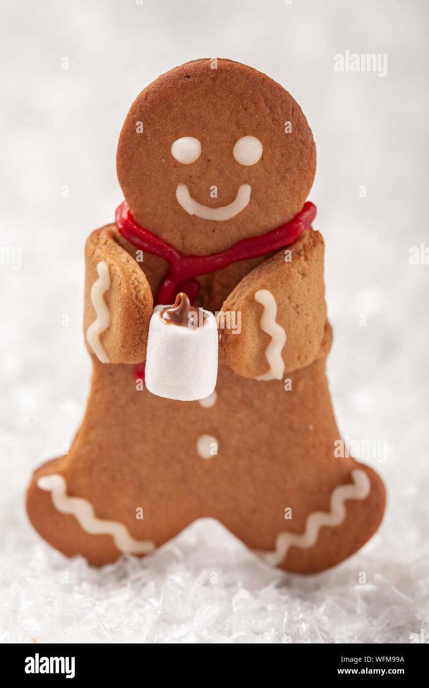 Funny Gingerbread cookie men with tiny marshmallow hot chocolate cup ...